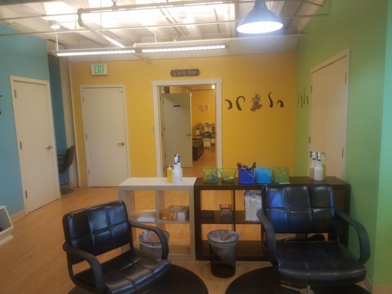 Seattle Lice Treatment - Lice Knowing You ® | Award-Winning ...