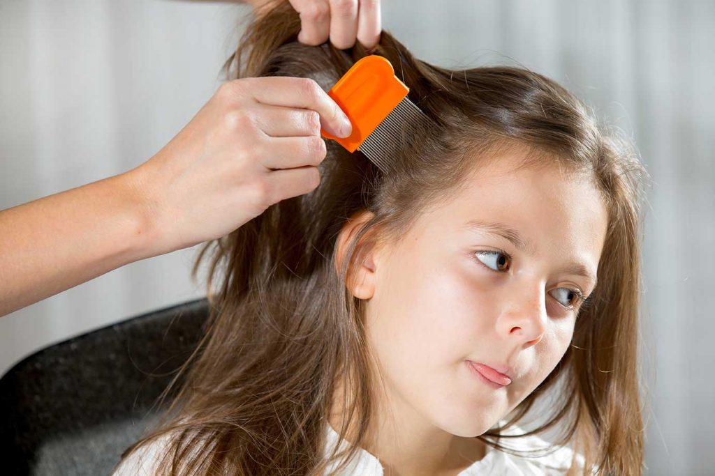 Lice Removal Mercer Island - Lice Knowing You ® | Professional Lice ...